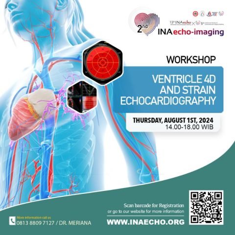 WS : Basic Left Ventricle 4D and Strain Echocardiography | INAecho ...